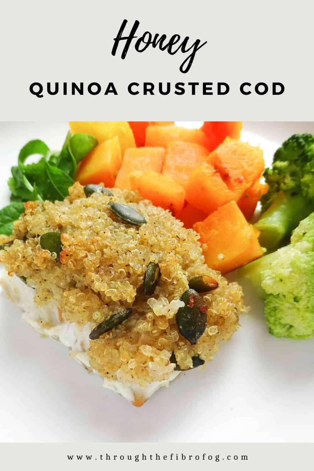 Quinoa Crusted Fish - Through The Fibro Fog