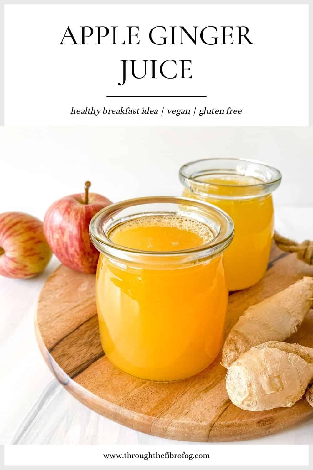 Apple Ginger Turmeric Shots - Through The Fibro Fog