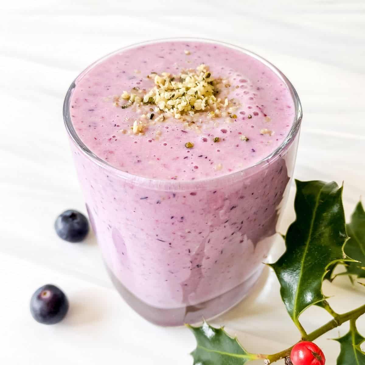 Cranberry Blueberry Smoothie - Through The Fibro Fog