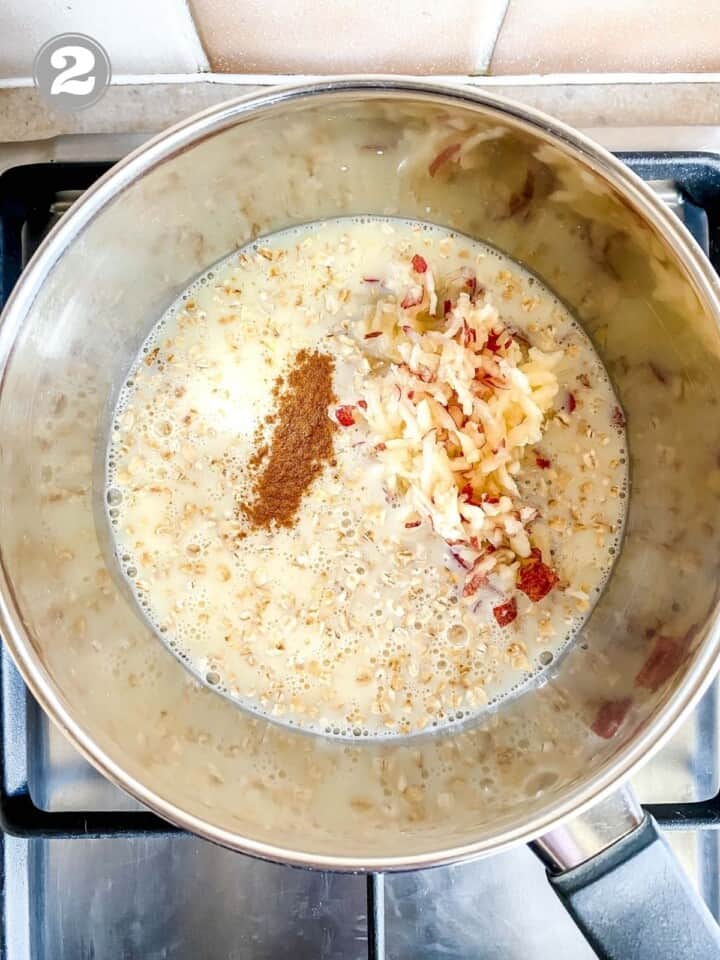 Apple Pie Porridge - Through The Fibro Fog