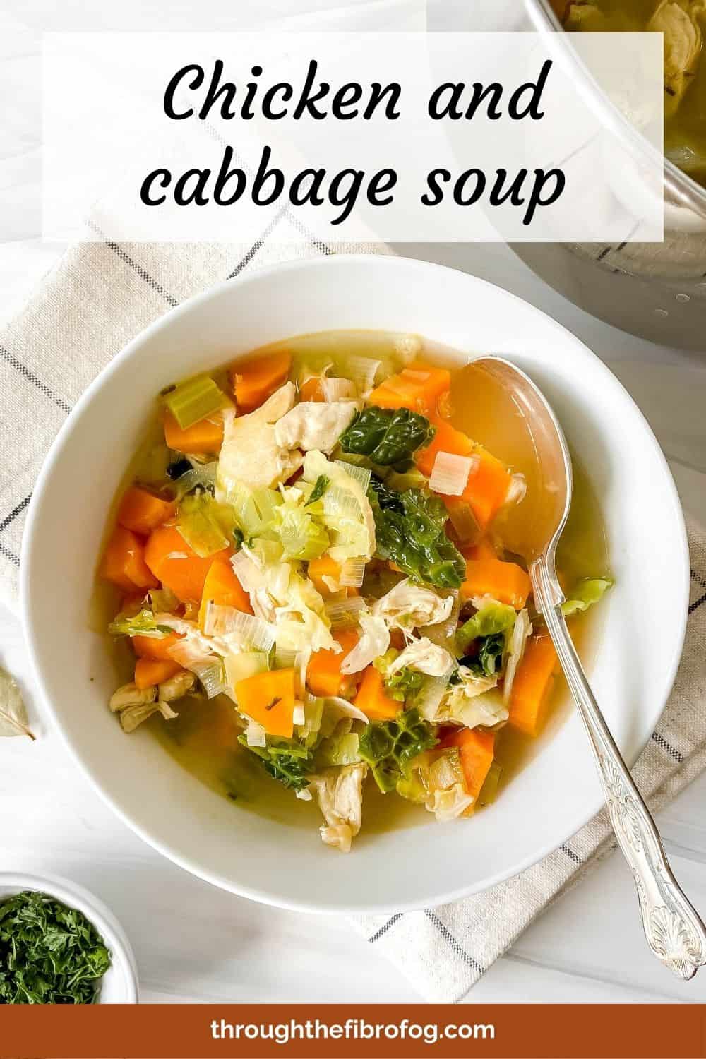 Chicken and Cabbage Soup - Through The Fibro Fog