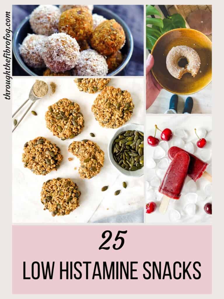25 Low Histamine Snacks - Through The Fibro Fog
