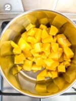 Easy Mango Compote - Through The Fibro Fog