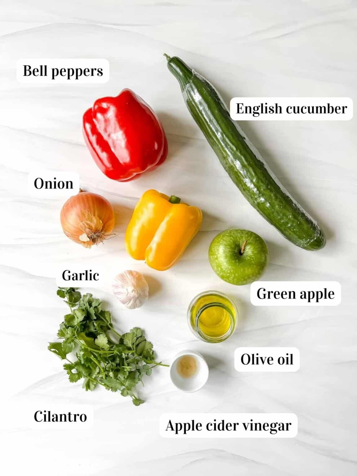 Bell Pepper Salsa (Tomato Free, Low Histamine) - Through The Fibro Fog