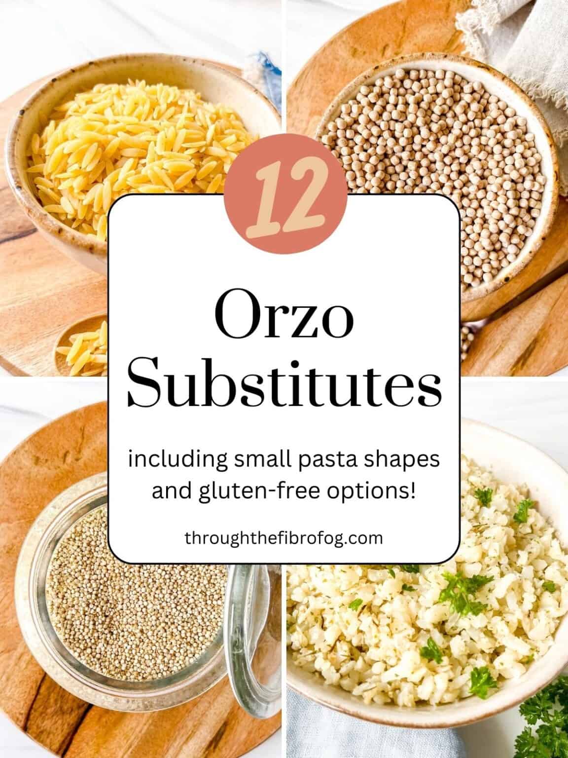12 Best Orzo Substitutes (including Gluten Free Options) - Through The ...