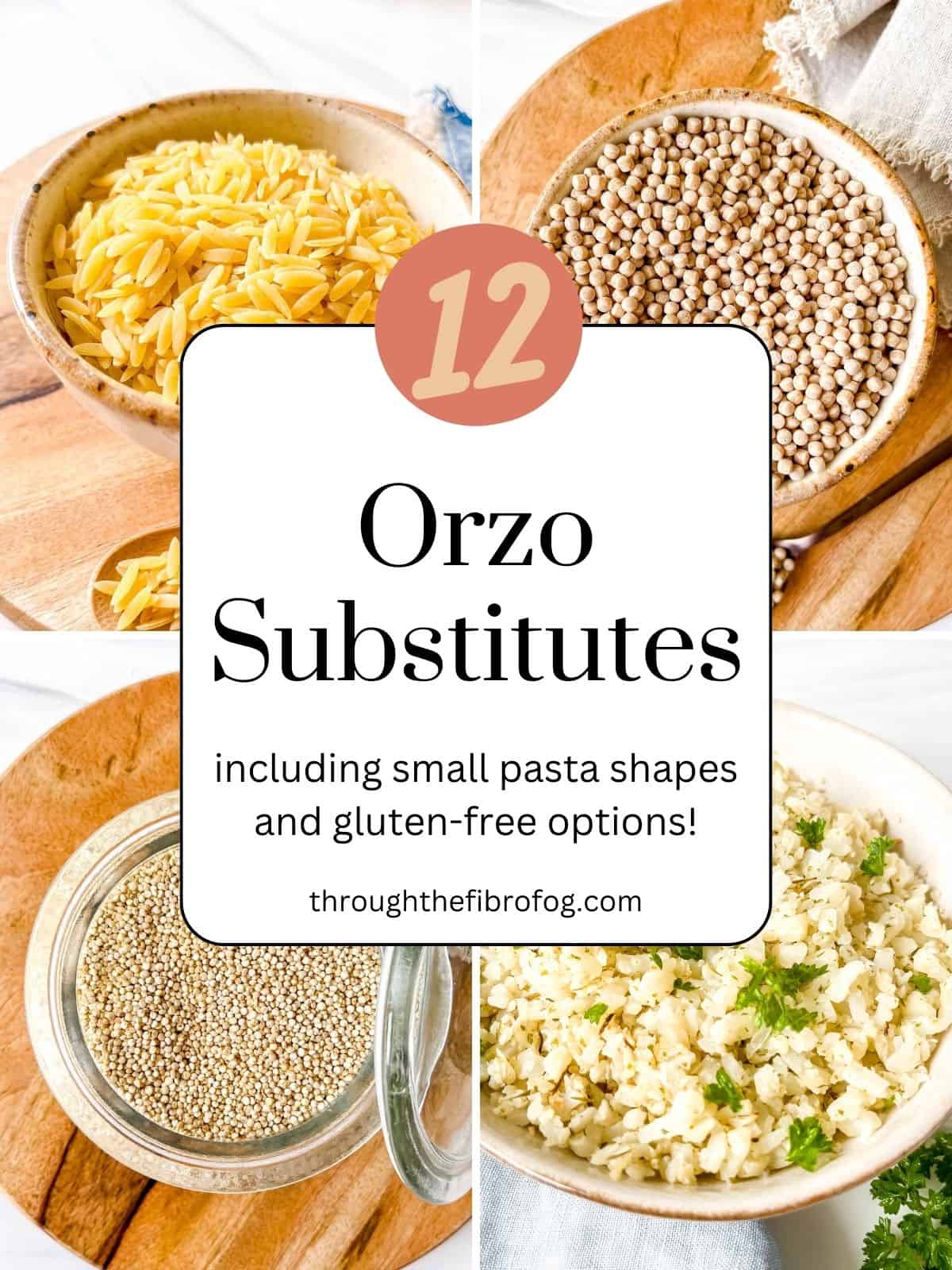 12 Best Orzo Substitutes (including Gluten Free Options) - Through The ...