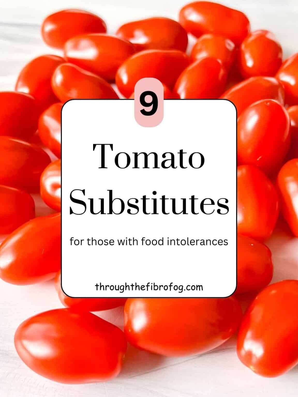 9 Best Tomato Substitutes - Through The Fibro Fog
