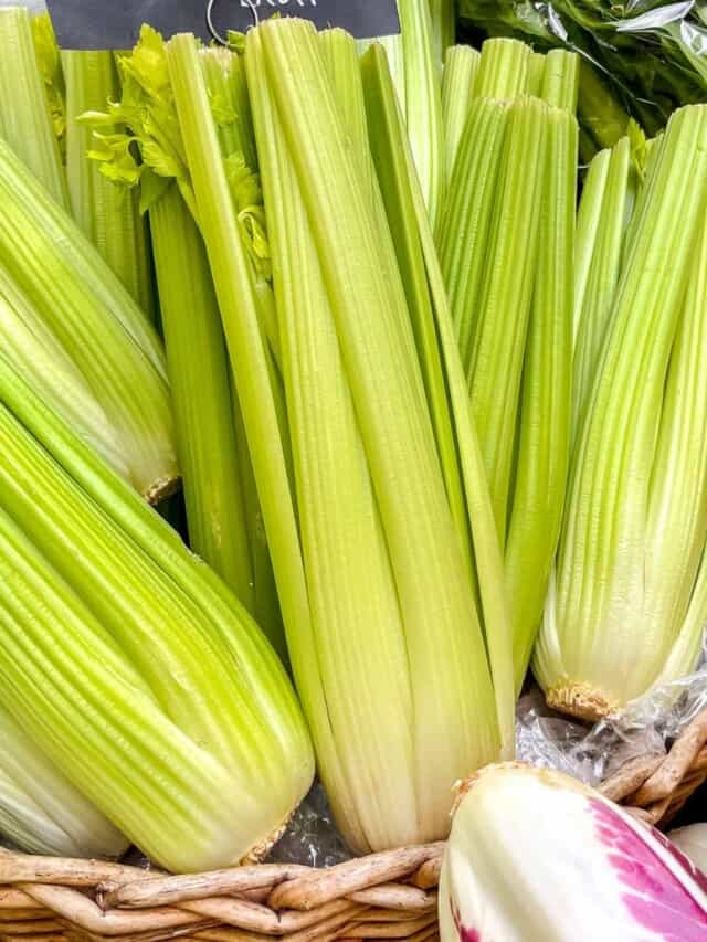 10 Spinach Substitutes (Easy & Tasty) - Through The Fibro Fog