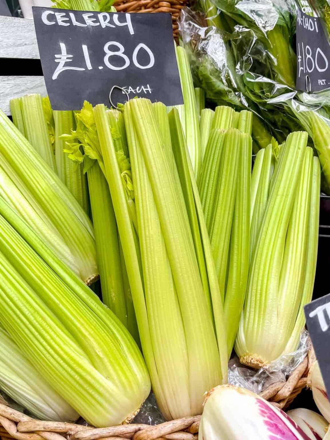 10 Best Celery Substitutes - Through The Fibro Fog