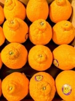 9 Best Orange Juice Substitutes - Through The Fibro Fog