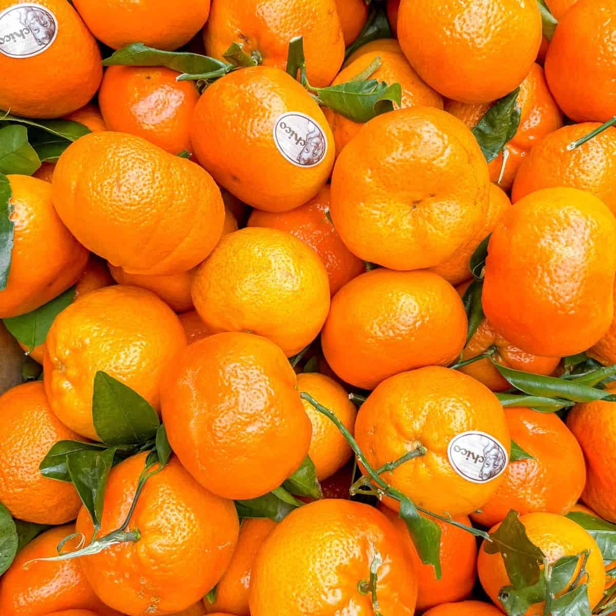9 Best Orange Juice Substitutes - Through The Fibro Fog