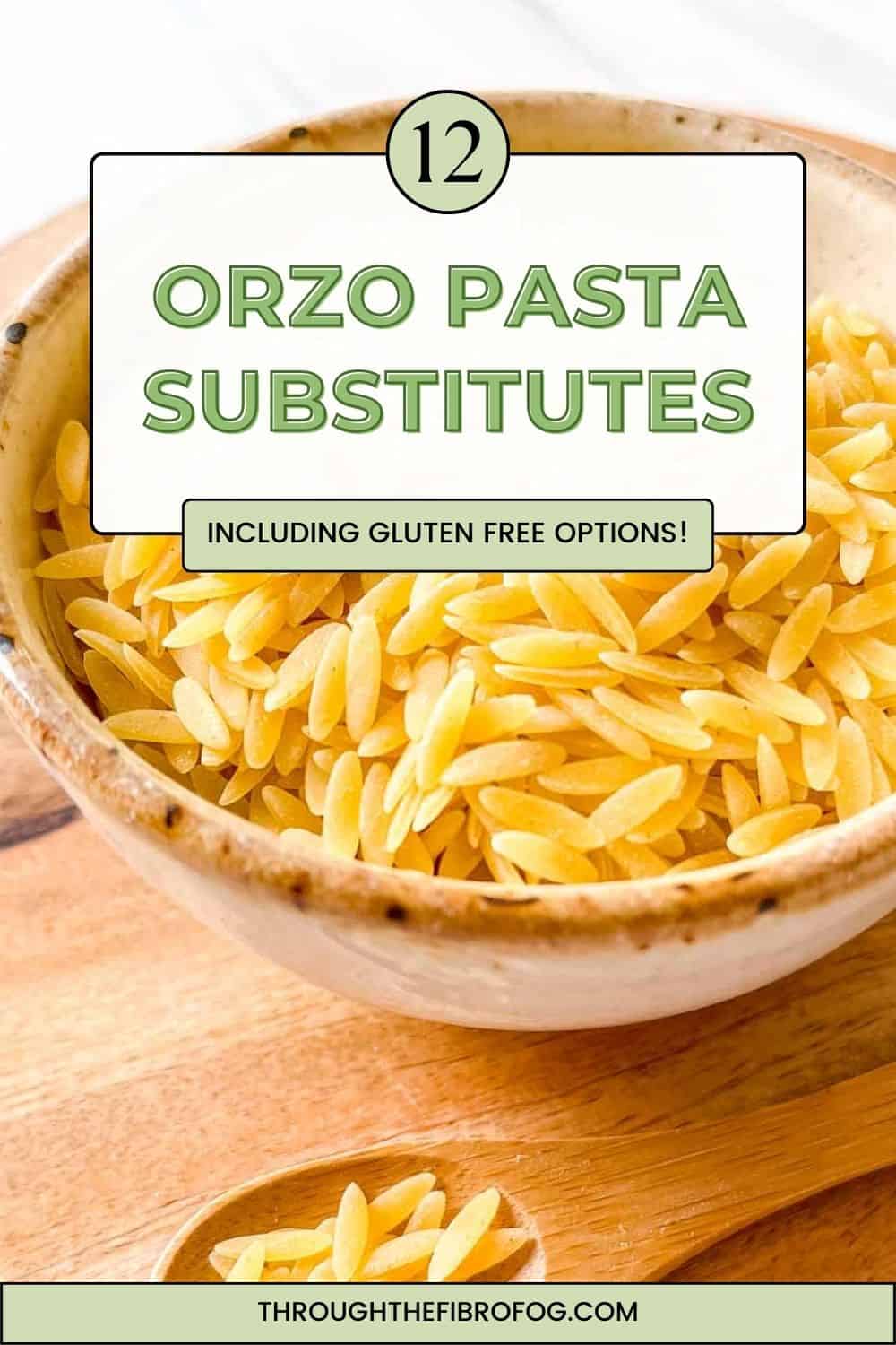 12 Best Orzo Substitutes (including Gluten Free Options) - Through The ...