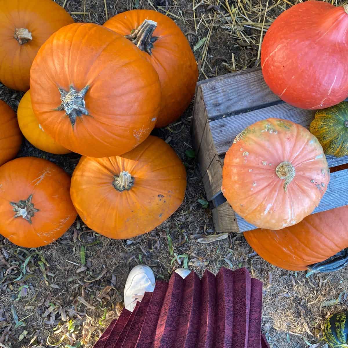 Preparing for the October Slide with Chronic Illness - Through The ...