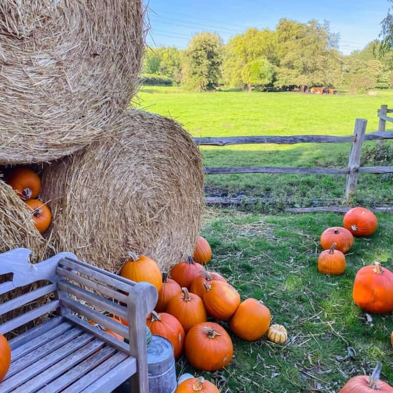 Preparing for the October Slide with Chronic Illness - Through The ...