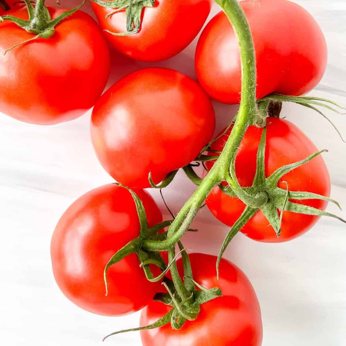 9 Best Tomato Substitutes - Through The Fibro Fog