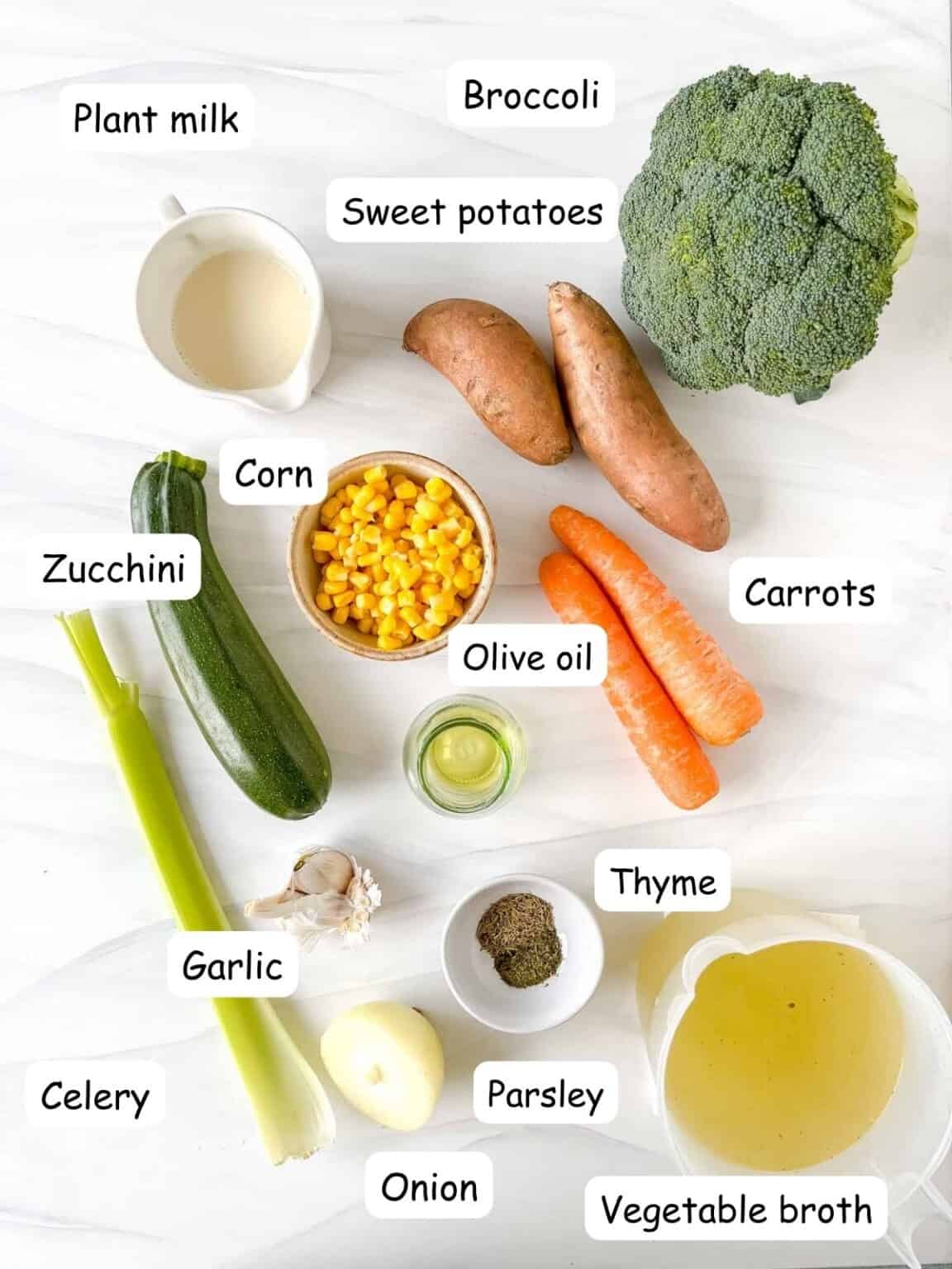 Vegetable Soup without Tomatoes - Through The Fibro Fog