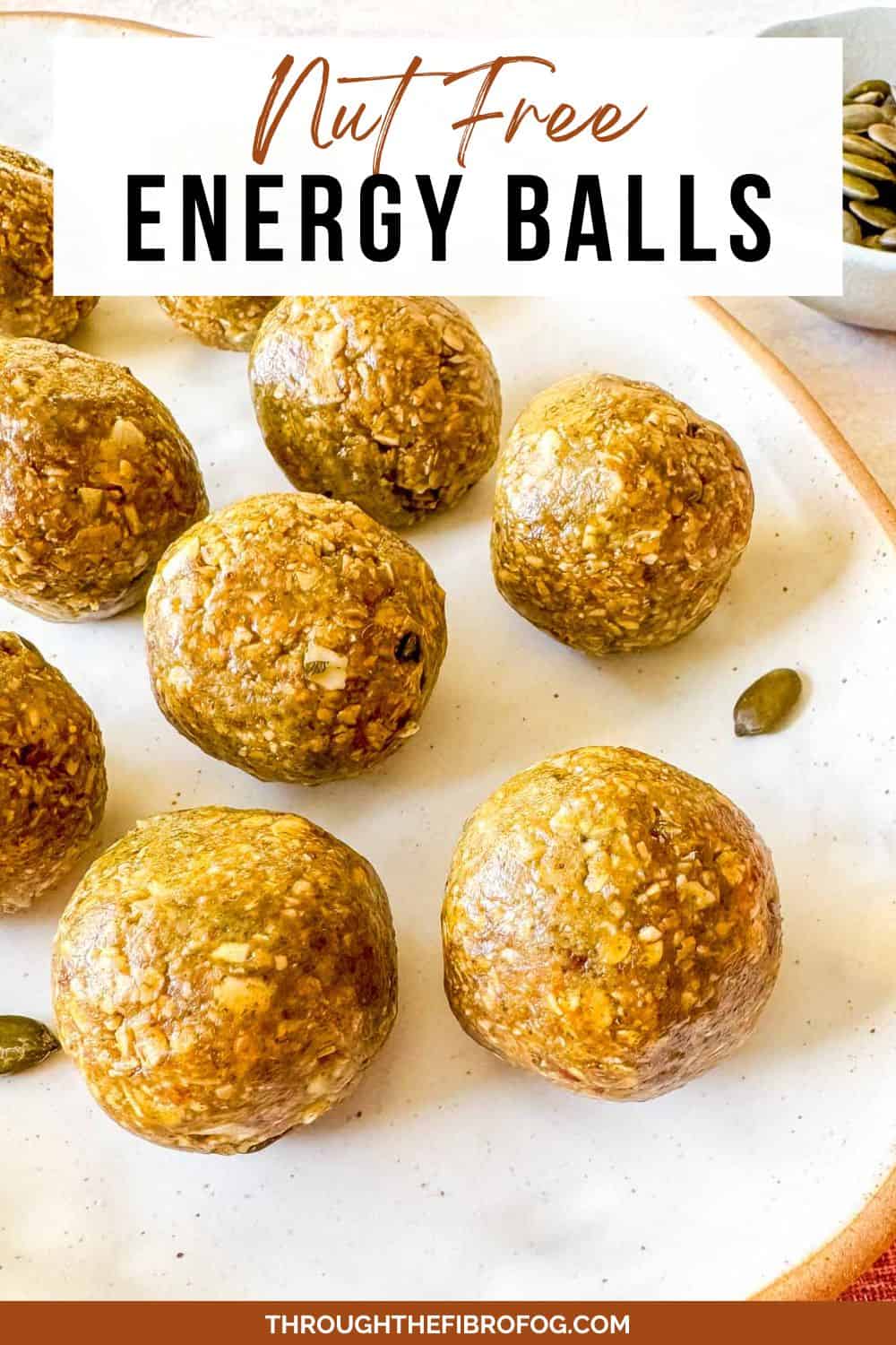 Nut Free Energy Balls - Through The Fibro Fog