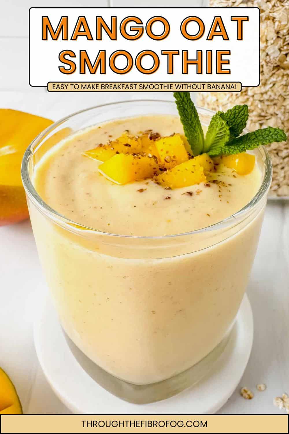 Mango Oat Smoothie - Through The Fibro Fog
