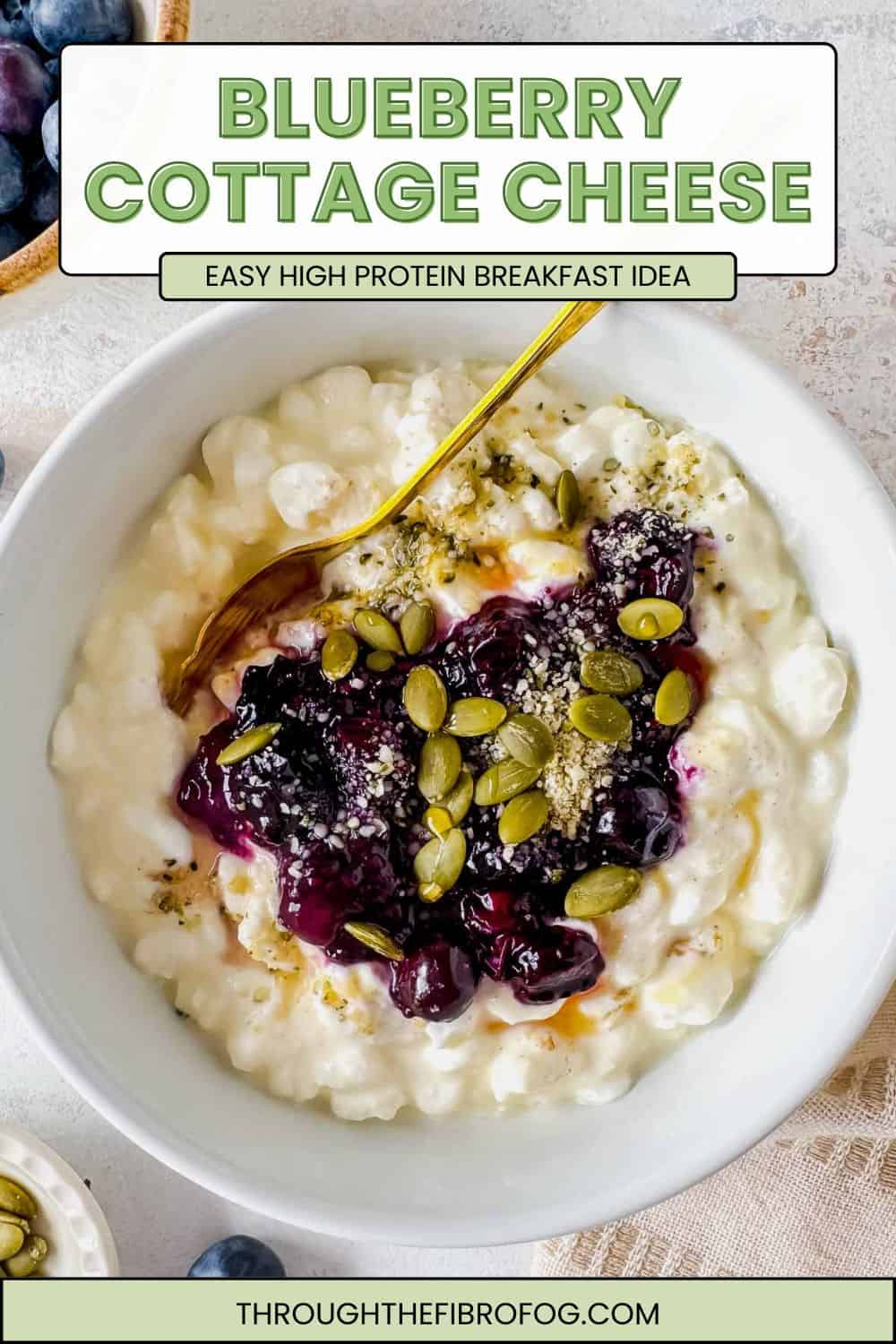 Blueberry Cottage Cheese Bowl - Through The Fibro Fog