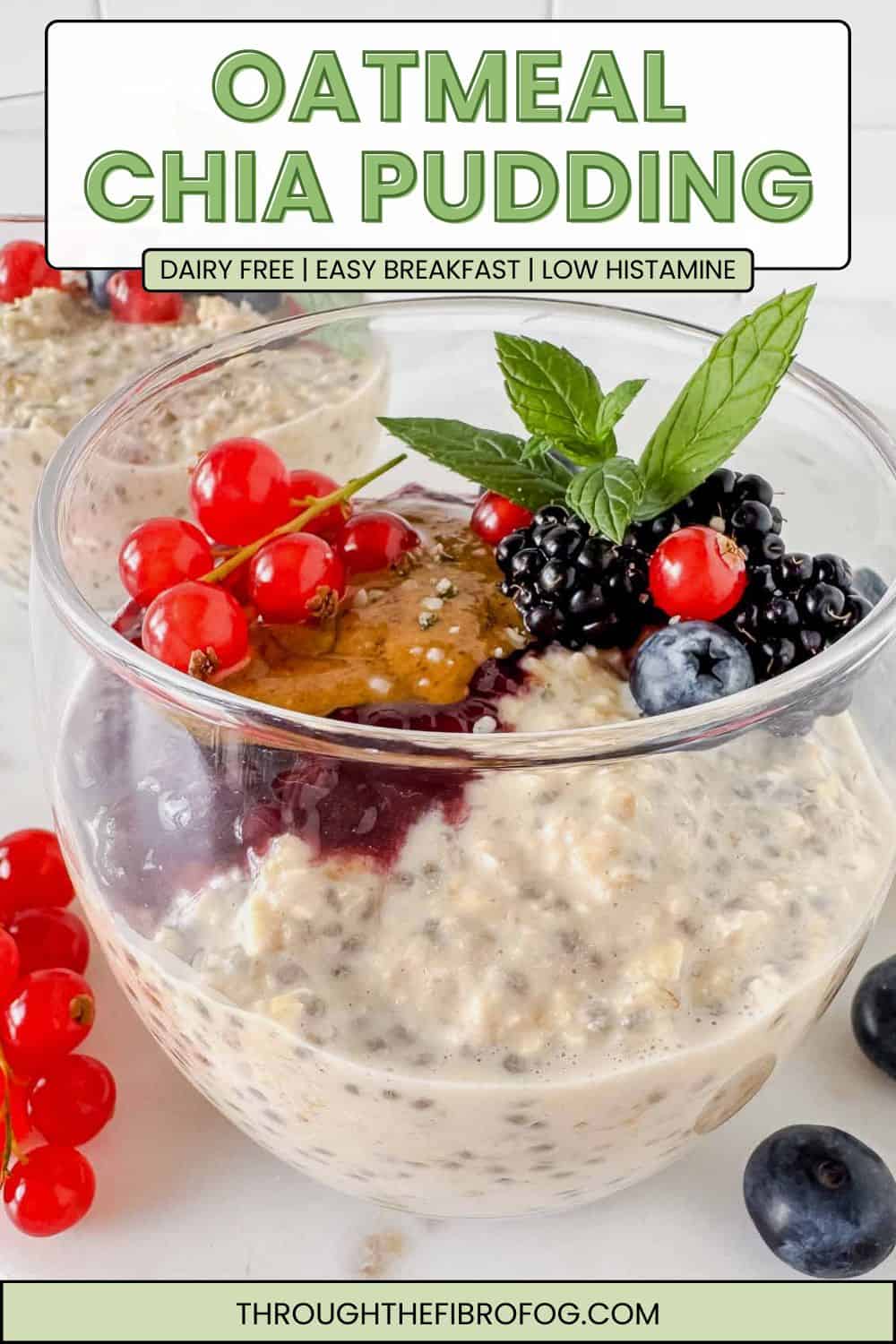 Oatmeal Chia Pudding - Through The Fibro Fog