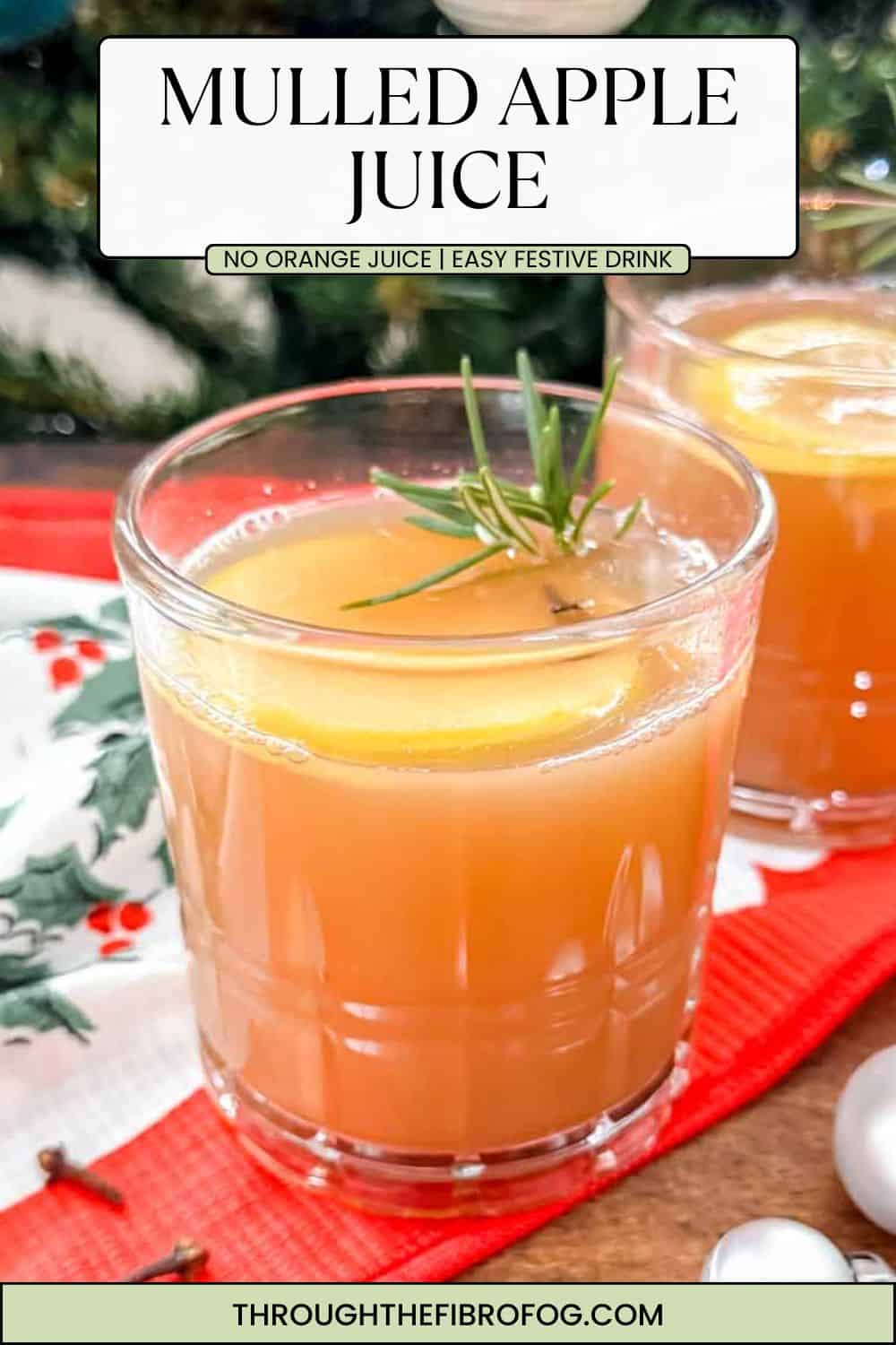 Mulled Apple Juice - Through The Fibro Fog